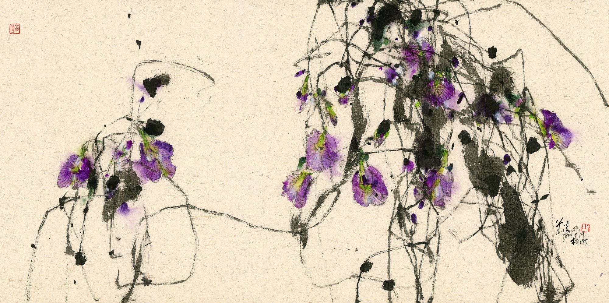 20240919 Butterfly Pea – KaKi Creation